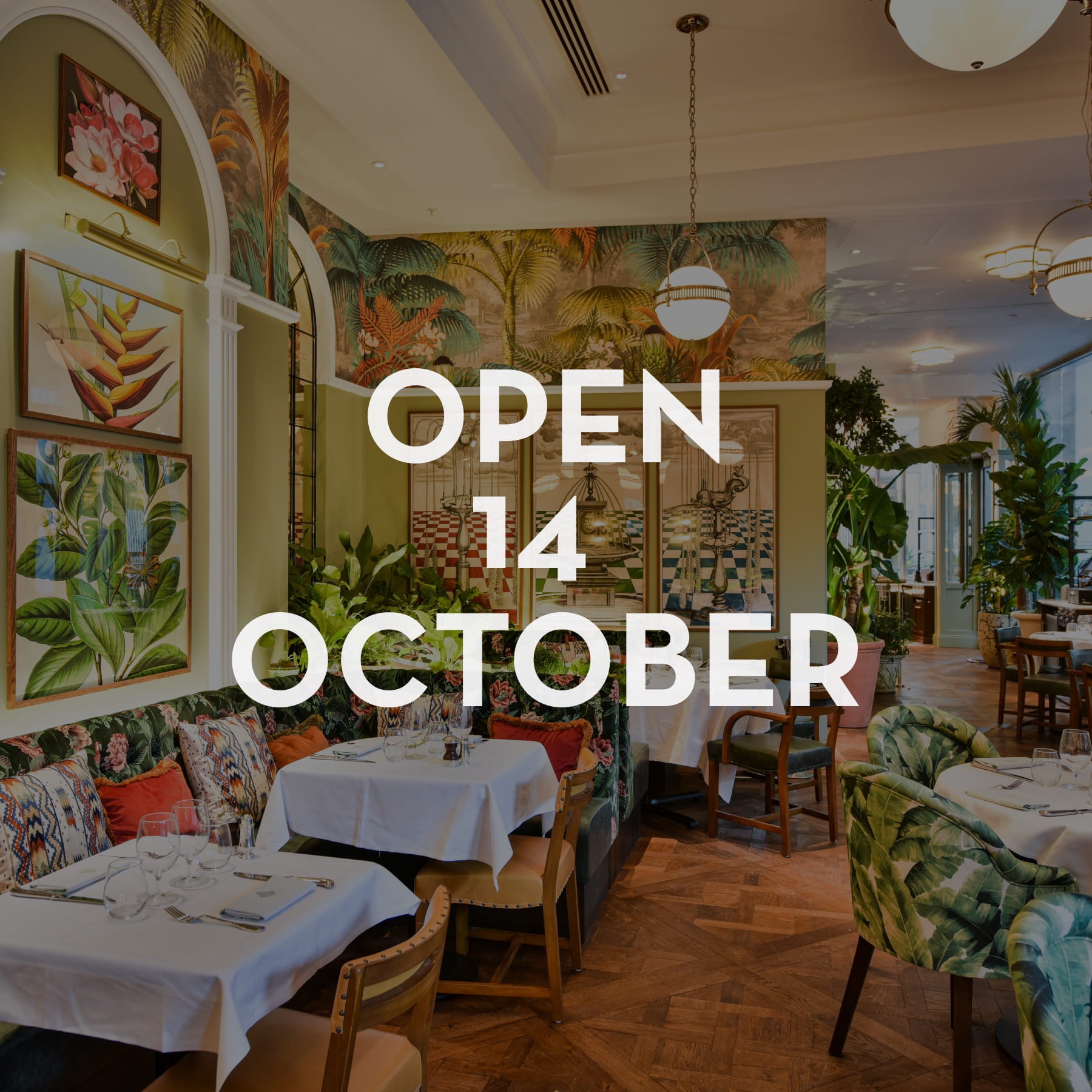 Nottingham Sign Up - Brasserie of Light